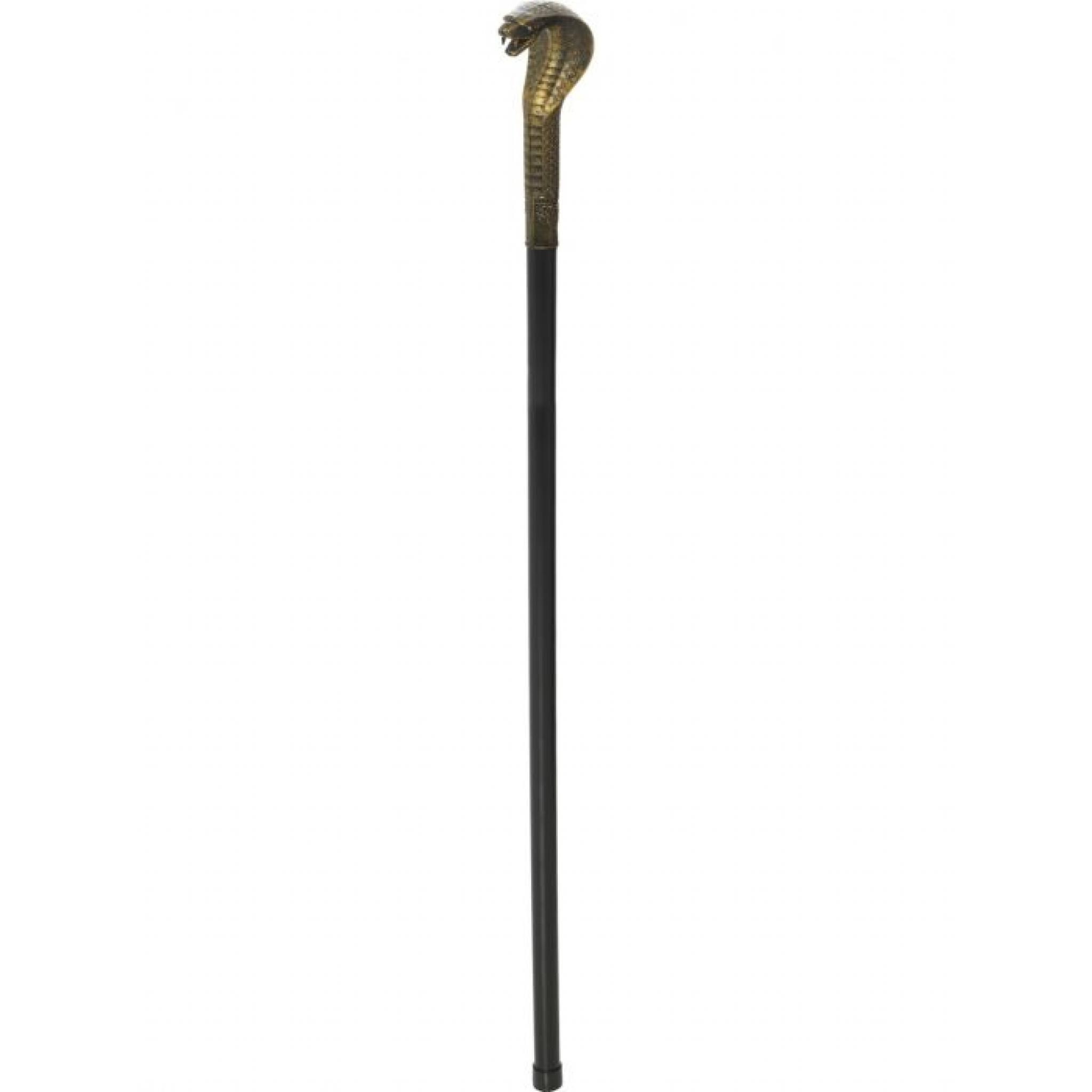 Voodoo Walking Stick Cane with Snake | Party Party
